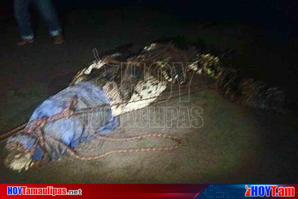 Hoy Tamaulipas - Atrapan enorme cocodrilo que deambulaba en carretera ... Hoy Tamaulipas - Atrapan enorme cocodrilo que deambulaba en carretera ...