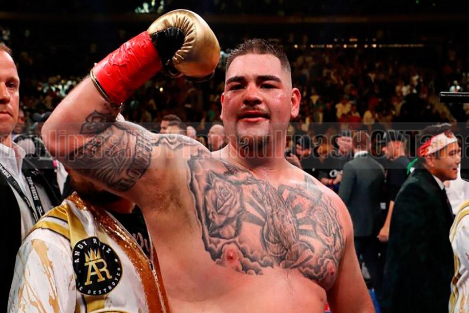 Hoy Tamaulipas - Andy Ruiz Jr. hizo historia para boxeo mexicano en 2019