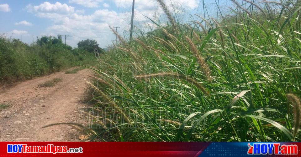 Hoy Tamaulipas - Tamaulipas Vecinos en Ciudad Victoria exigen cuadrillas de limpieza y de fumigacion