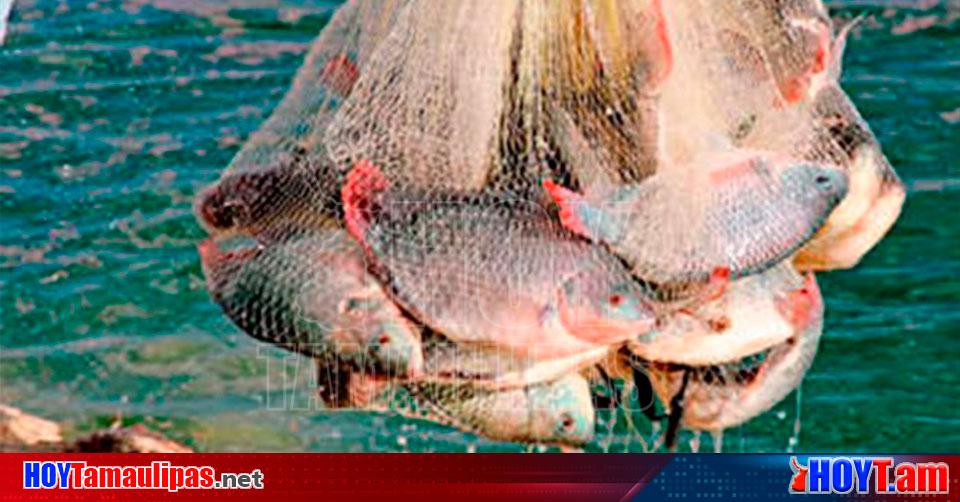 Hoy Tamaulipas Monterrey Proyectan Crecimiento De 15 En Produccion