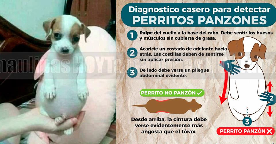 Hoy Tamaulipas - Nacional En Nuevo Leon Aprovechan popularidad del Â ...