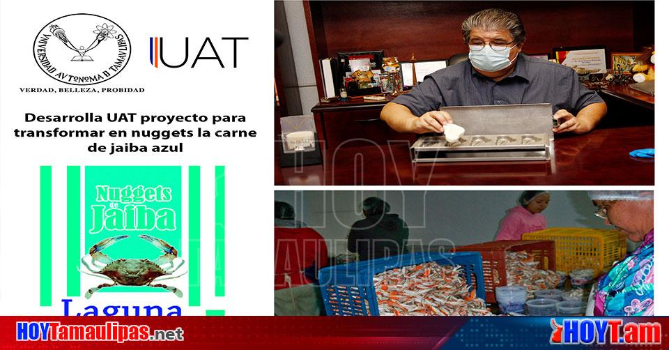 Hoy Tamaulipas - Desarrolla UAT proyecto para transformar en nuggets la carne de jaiba azul