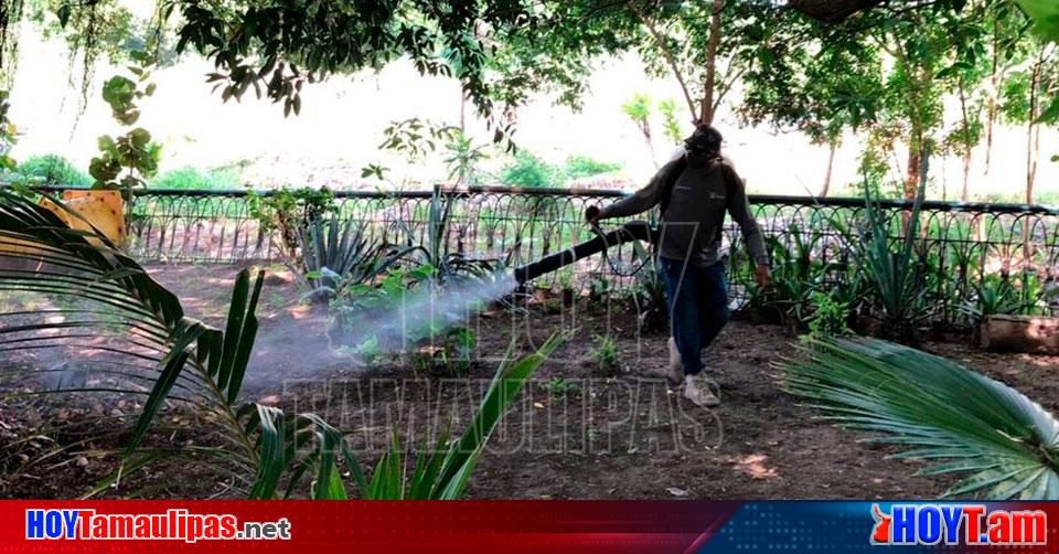 Hoy Tamaulipas - Gobierno de Ciudad Madero Intensifican acciones contra el dengue en colonias y ...