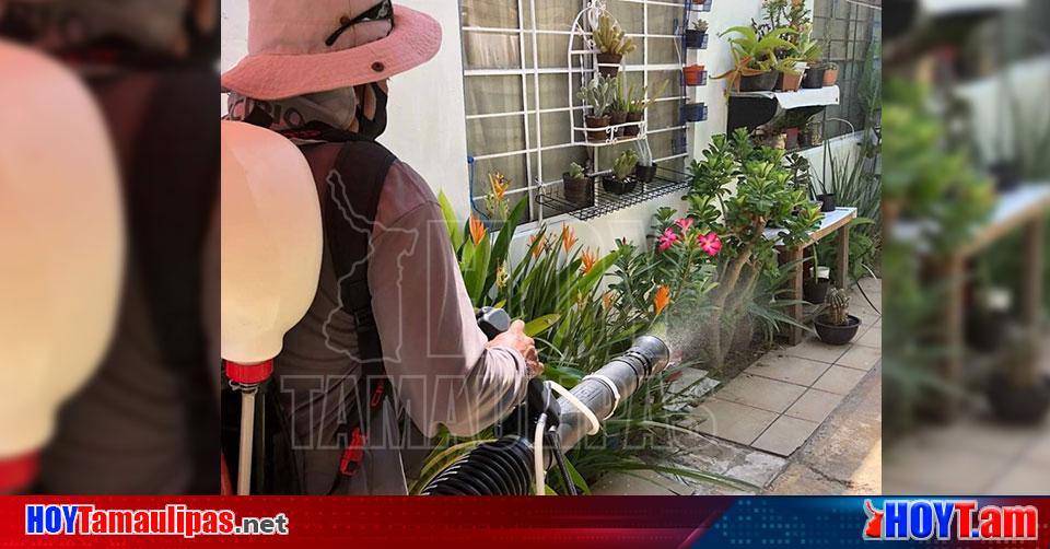 Hoy Tamaulipas - Gobierno de Ciudad Madero refuerza acciones preventivas contra el dengue