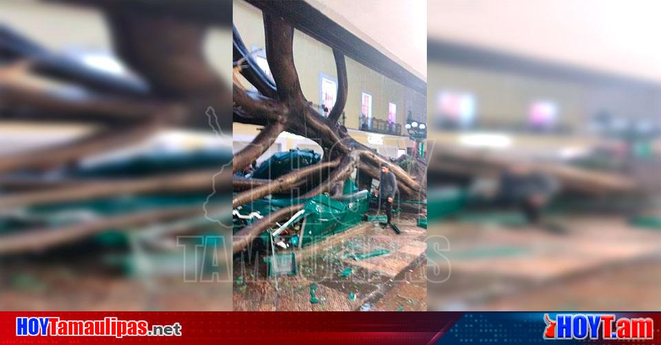 Hoy Tamaulipas - Torrencial lluvia deja un muerto en Puebla