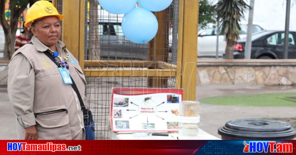 Hoy Tamaulipas - Intensifican acciones contra el dengue en NL