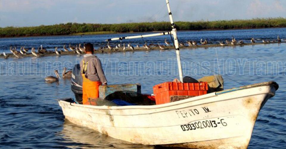 Hoy Tamaulipas - La Paz Cerrara BCS el anio con mas de 2 mil pescadores ...