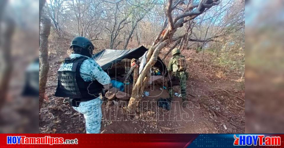 Hoy Tamaulipas - Aguililla Desmantela Ejercito dos narco campamentos en Michoacan
