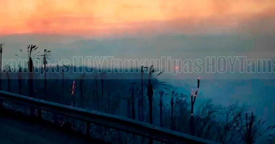 Hoy Tamaulipas - Incendio en Tamaulipas En alerta Proteccion Civil por ...