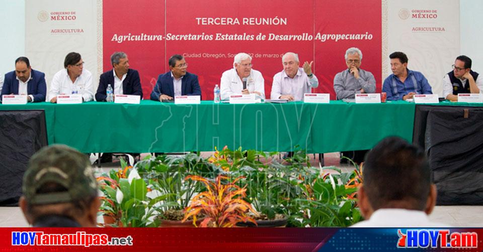 Hoy Tamaulipas - Establecen Agricultura y secretarios estatales del ramo agenda para impulsar ...