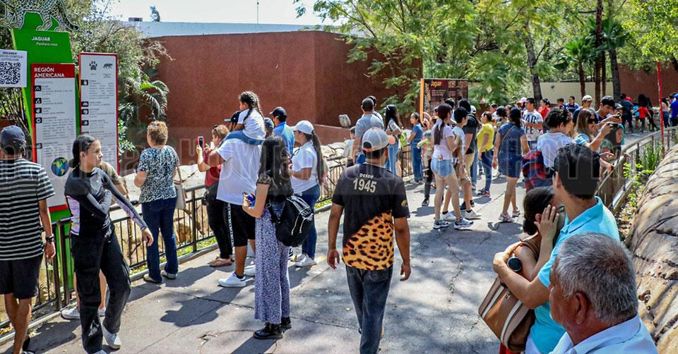 Hoy Tamaulipas - Tamaulipas Ni el Zoologico de Tamatan en Ciudad ...