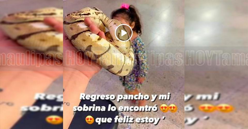 Hoy Tamaulipas - Tamaulipas Aparecio Pancho El piton viral en Ciudad ...