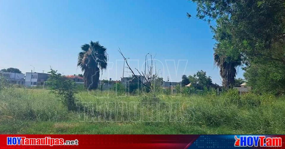 Hoy Tamaulipas - Tamaulipas Denunciaron abandono de parque publico en Reynosa