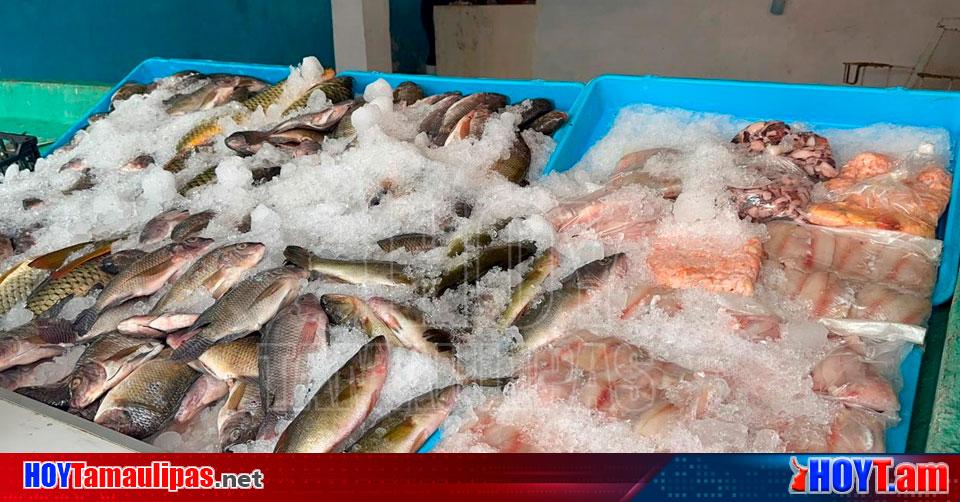 Hoy Tamaulipas - Tamaulipas Decomisan 25 kilos de mariscos en operativo ... Hoy Tamaulipas - Tamaulipas Decomisan 25 kilos de mariscos en operativo ...