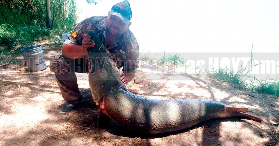 Hoy Tamaulipas - Tamaulipas Sacan catan de dos metros del rio Bravo en ...