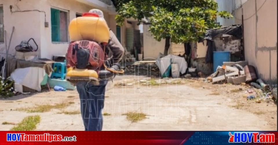 Hoy Tamaulipas - Gobierno de Ciudad Madero mantiene Jornadas de fumigacion en colonias de la ...