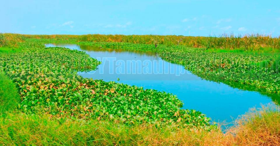 Hoy Tamaulipas - Conagua debera traer agua del rio Tampaon al sistema ...