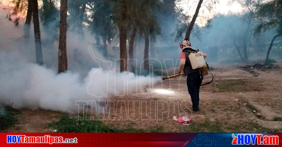 Hoy Tamaulipas - Reporta Salud 50 casos de dengue en Tamaulipas