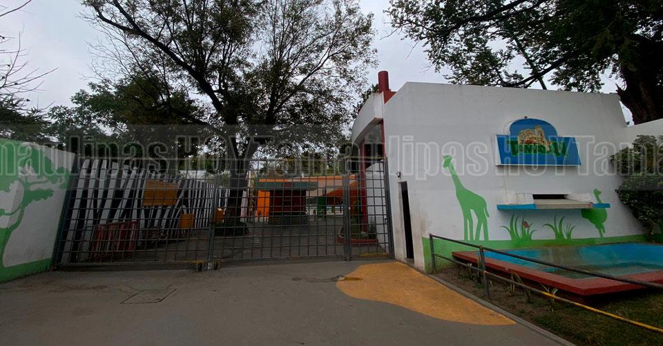 Hoy Tamaulipas - Ante las bajas temperaturas cierran el Zoo y Parque ...