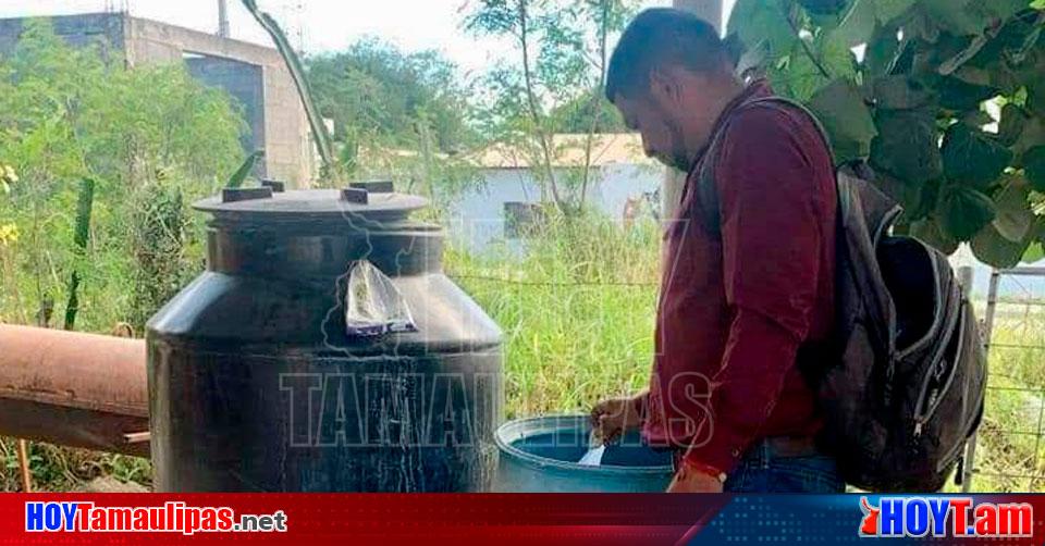 Hoy Tamaulipas - Salud en Tamaulipas Intensifican acciones para el control del dengue en San ...