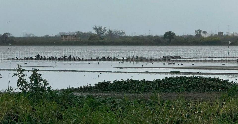 Hoy Tamaulipas - Tamaulipas Cierran 40 tomas clandestinas de agua en la ...