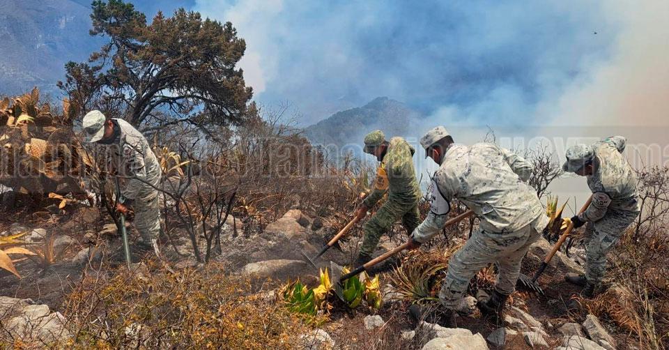 Hoy Tamaulipas - Tamaulipas Incendio en sierra de Victoria ha consumido ...