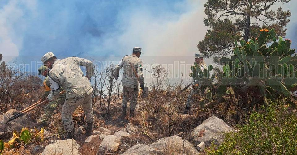 Hoy Tamaulipas - Incendio en sierra de Ciudad Victoria ha consumido mas ...