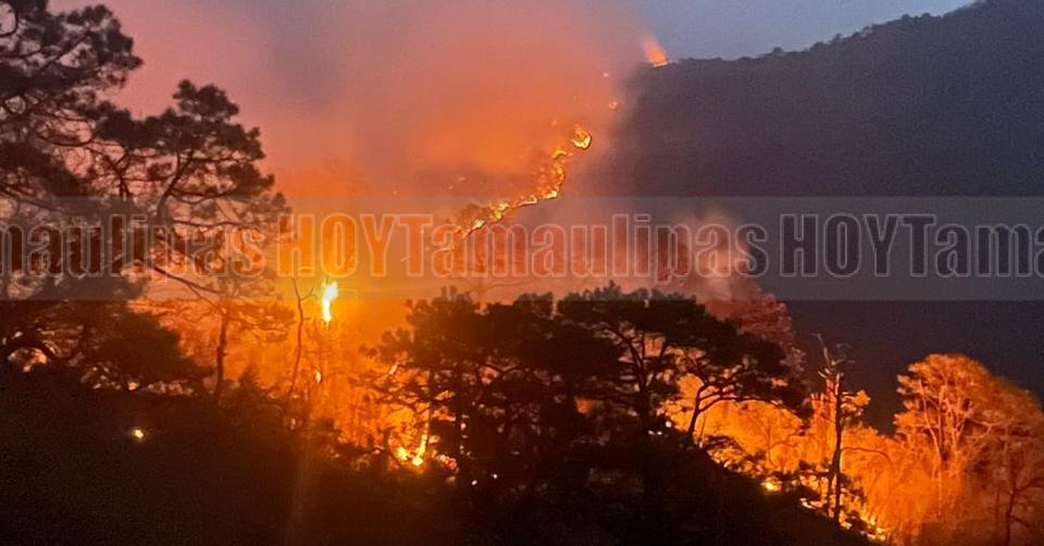 Hoy Tamaulipas - Tamaulipas Cerrara Tamaulipas el anio con 18786 ...