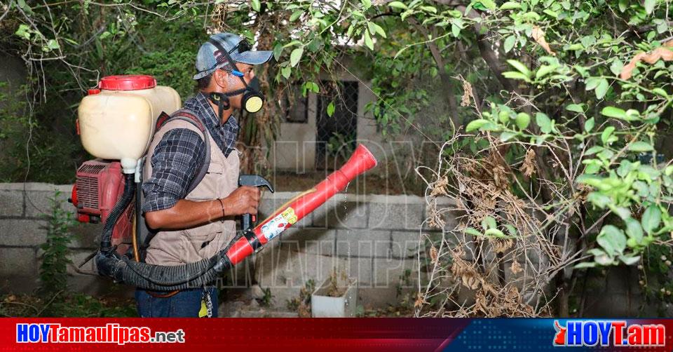 Hoy Tamaulipas - Tamaulipas Refuerzan acciones contra el dengue en Ciudad Victoria pese a baja ...