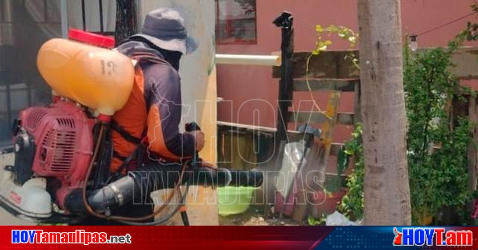 Hoy Tamaulipas - Gobierno de Ciudad Madero refuerza acciones preventivas contra el dengue