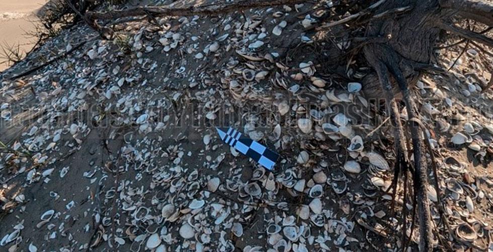 Hoy Tamaulipas - Descubren sitio de concheros en la Isla Macapule clave ...
