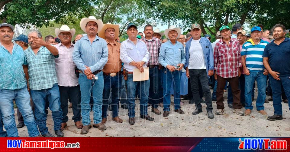 Hoy Tamaulipas - Sorgueros de Tamaulipas necesitan apoyo economico y no en especie Melhem