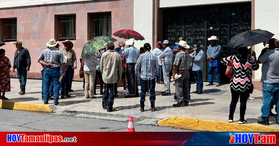 Hoy Tamaulipas - Tamaulipas Suspenden apoyo a productores de sorgo de Tamaulipas por inconformes