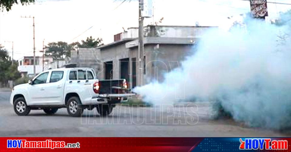 Hoy Tamaulipas - Tamaulipas Acciones contra el dengue son oportunas pero no hay que bajar la ...