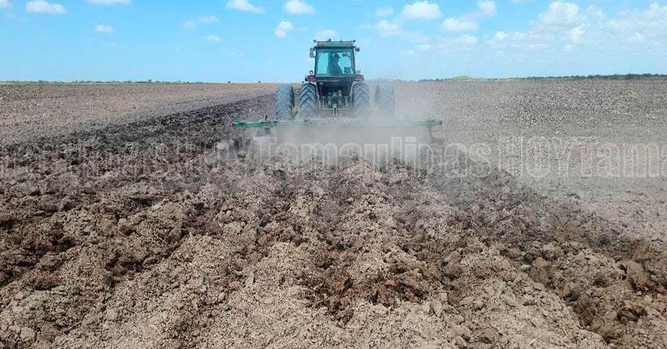 Hoy Tamaulipas - Tamaulipas Labranza profunda en San Fernando se ...