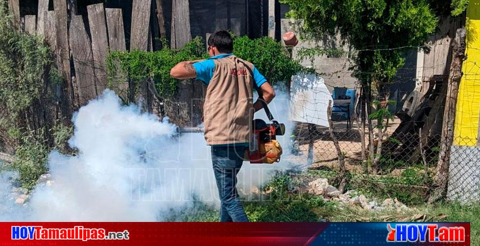 Hoy Tamaulipas - Salud en Tamaulipas COEPRIS refuerza campania de patio limpio contra el dengue ...