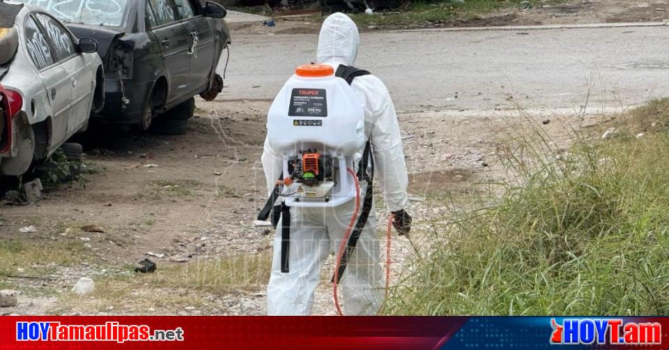 Hoy Tamaulipas - Refuerzan acciones contra el dengue en Madero ante resistencia de vecinos