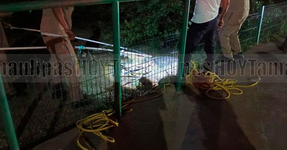 Hoy Tamaulipas - Tamaulipas Enorme cocodrilo paseaba por boulevard de ...