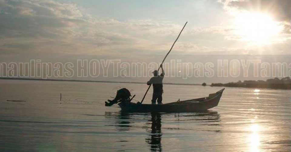 Hoy Tamaulipas - Ã‰xito del Mercado Azul en Mazatlan impulsa consumo de ...