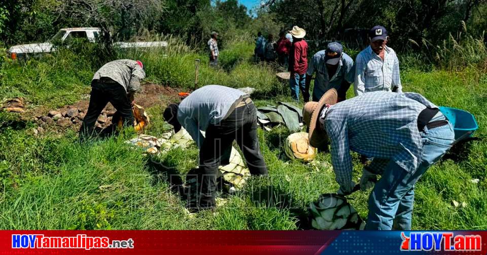 Hoy Tamaulipas - Impulsan extensionismo forestal en apoyo a productores tamaulipecos