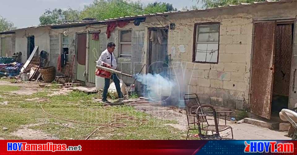 Hoy Tamaulipas - Detectan 37 casos sospechosos de dengue en Matamoros intensifican operativos