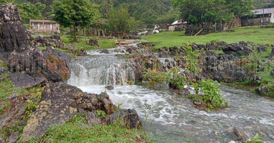 Hoy Tamaulipas - Es Biosfera El Cielo un paisaje maravilloso en Tamaulipas