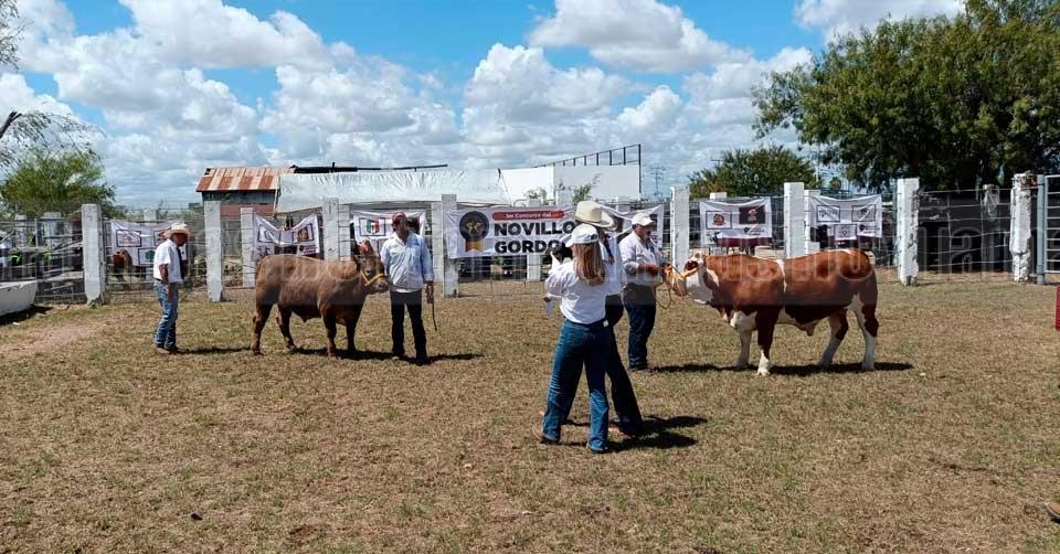 Hoy Tamaulipas - Tamaulipas Celebran en Nuevo Laredo el Primer Concurso ...