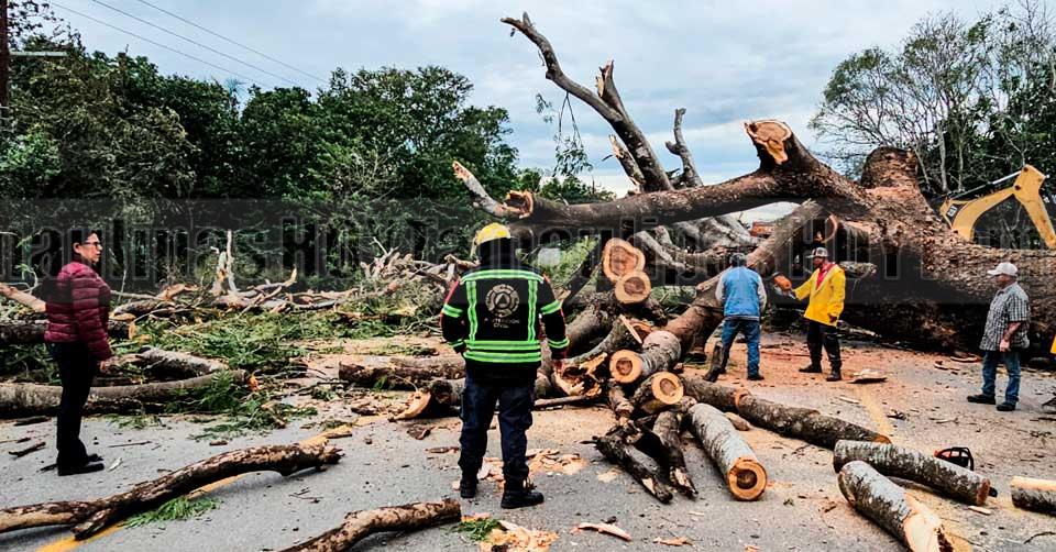 Hoy Tamaulipas - Tamaulipas Coordina Patty Chio atencion inmediata ante ...