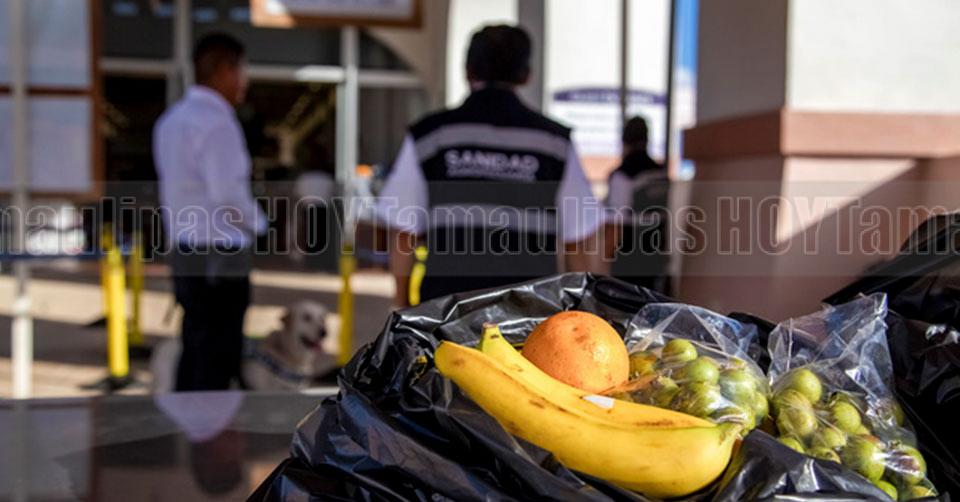 Hoy Tamaulipas - Red de inspeccion de Senasica impide entrada de 743 ...