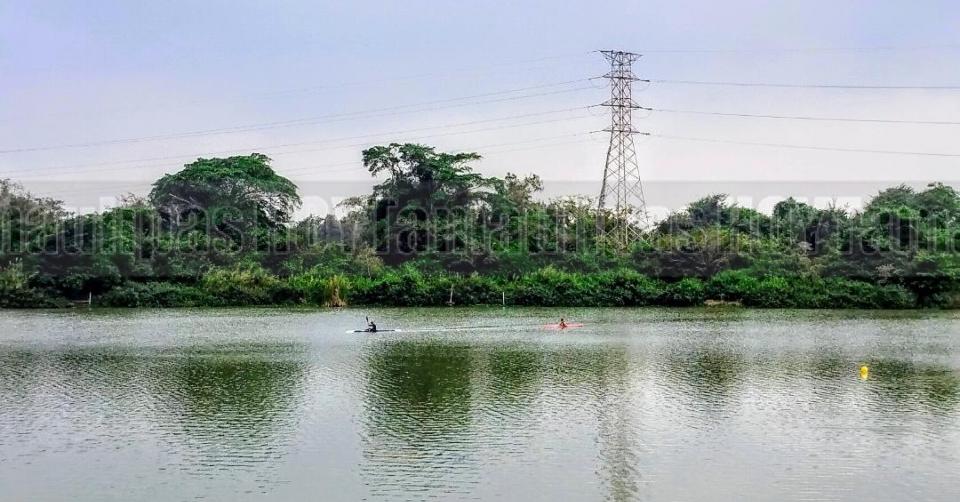 Hoy Tamaulipas - Proponen aumentar poblacion de nutrias para combatir ...