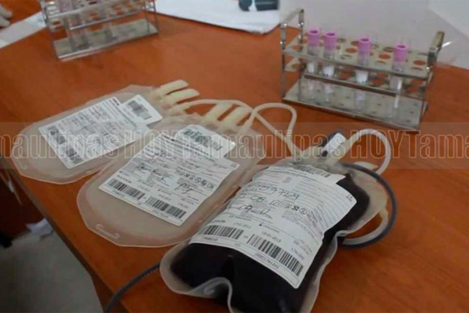 Hoy Tamaulipas - Donar sangre de manera regular accion altruista que ...