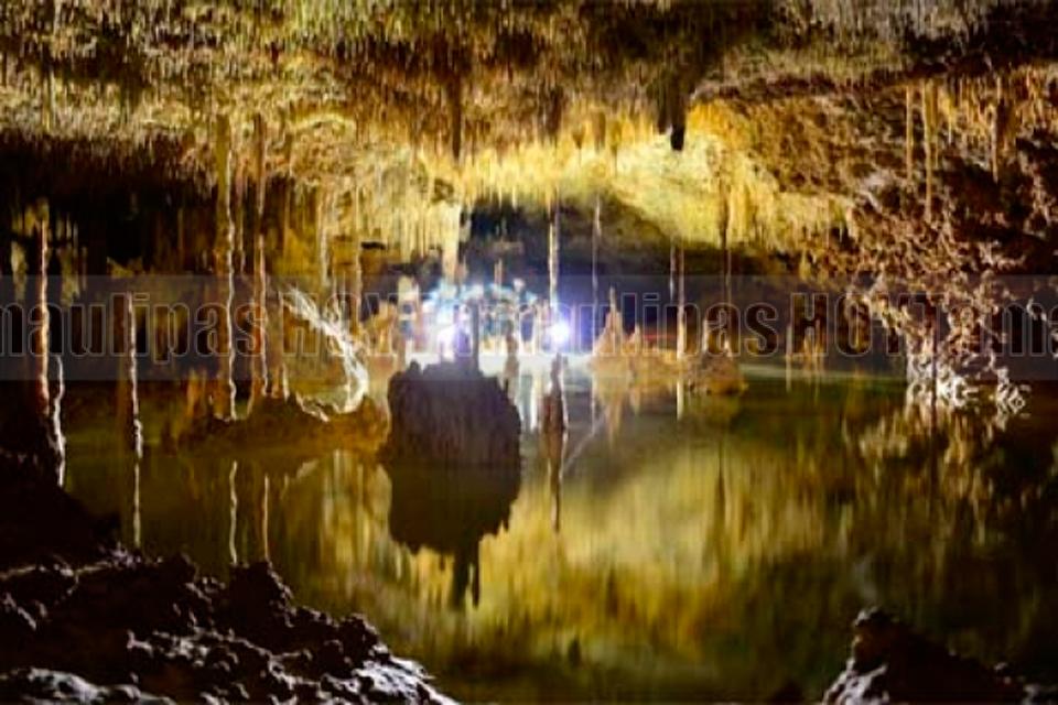 Hoy Tamaulipas - Rio Secreto reserva natural que resguarda el habitat ...