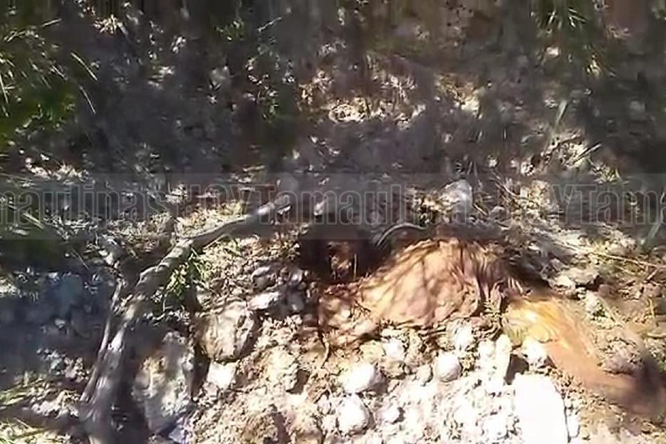 Hoy Tamaulipas - Encuentran cadaver putrefacto en Reynosa