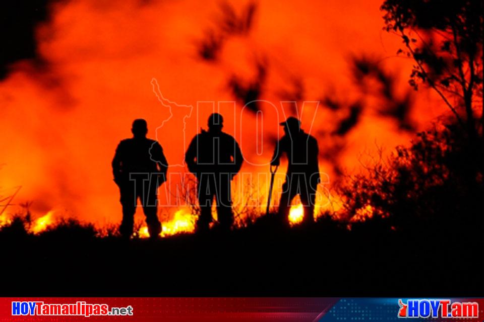 Hoy Tamaulipas Fuerzas Federales Combaten Incendio Forestal En Veracruz